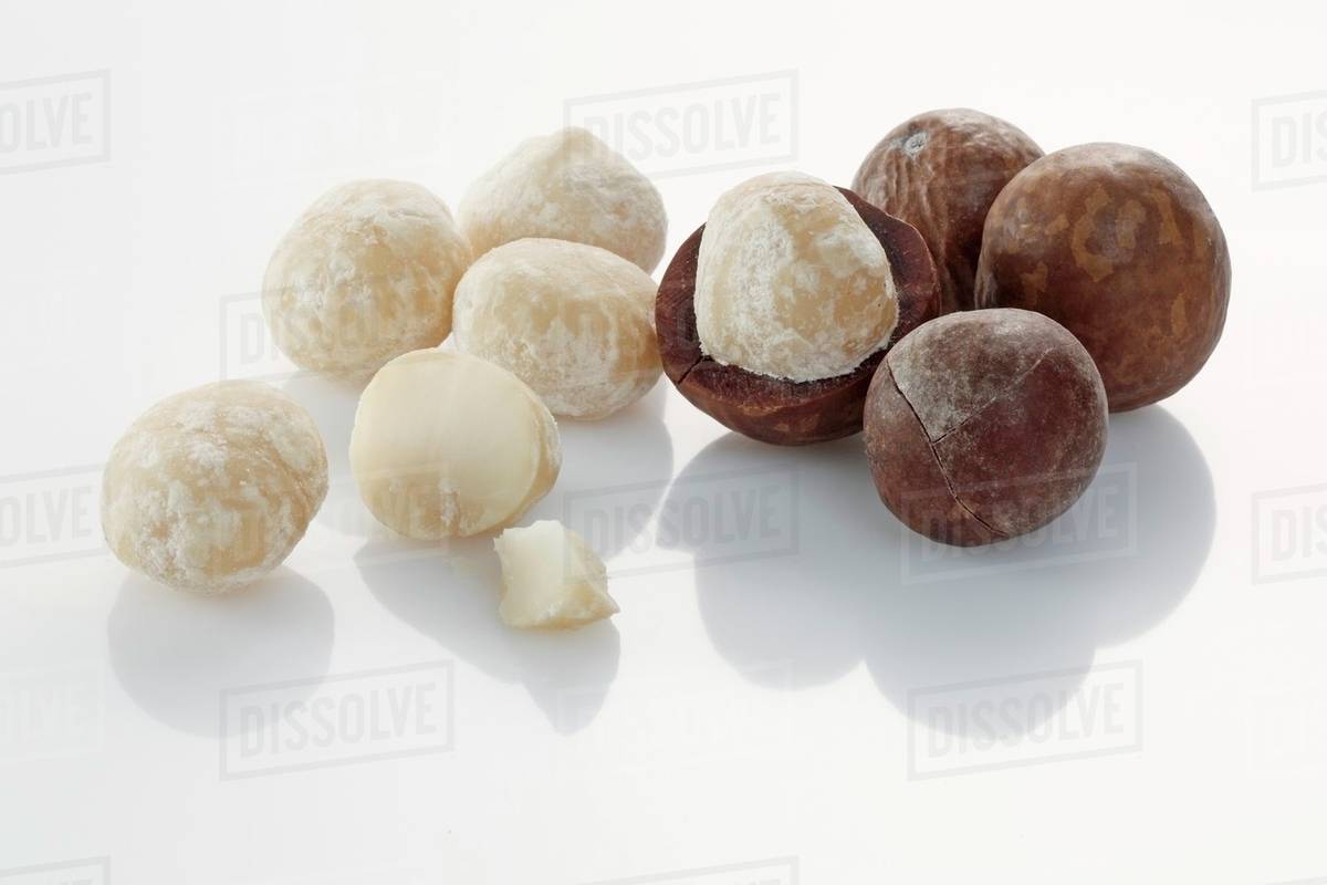 Macadamia nuts, with and without shells - Royalty-free Stock Photo ...