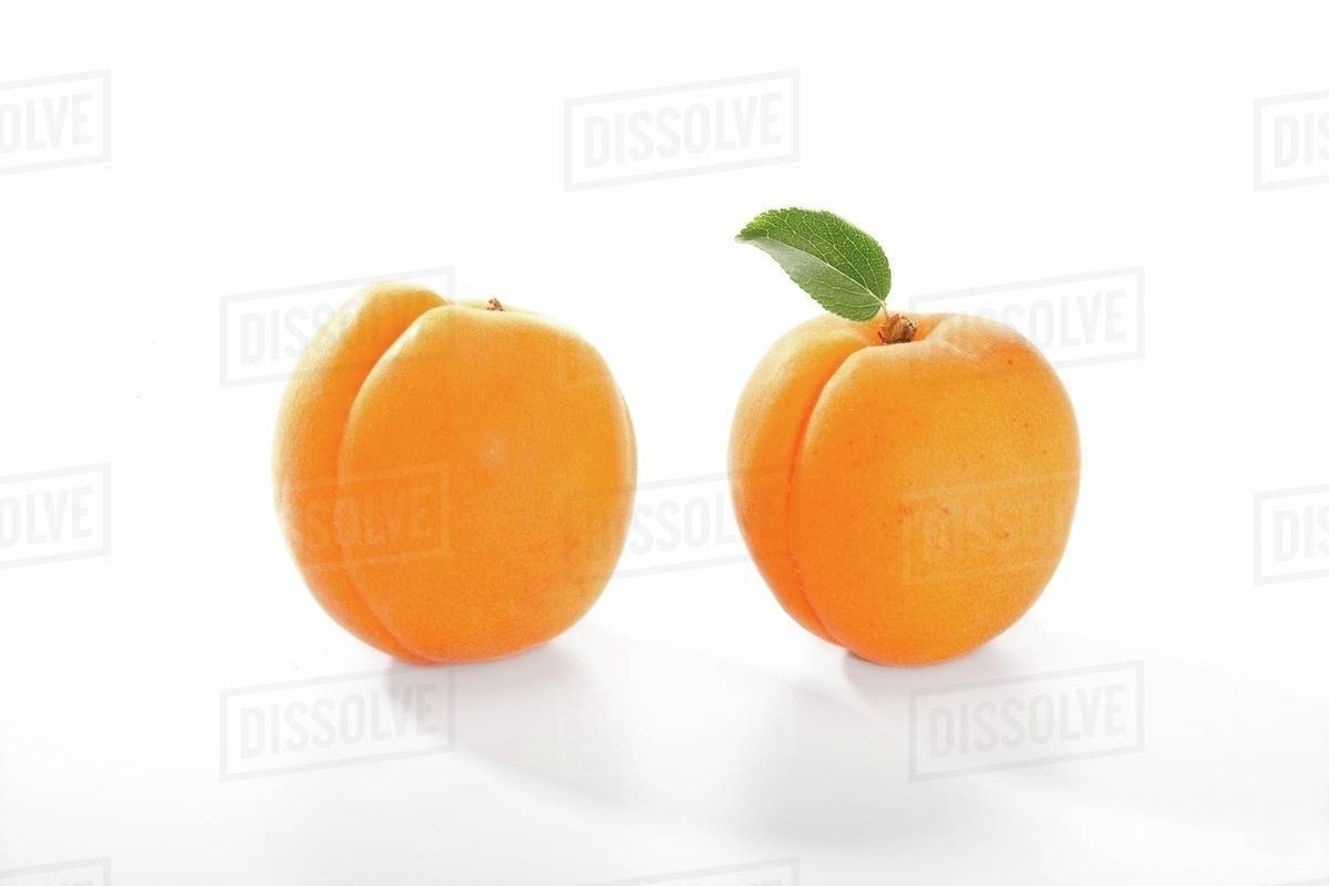 Two apricots against a white background - Stock Photo - Dissolve