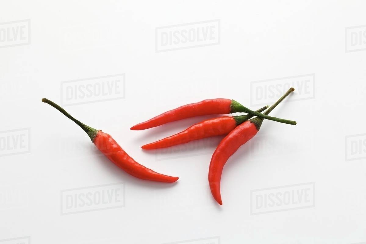 Four red chillies - Stock Photo - Dissolve