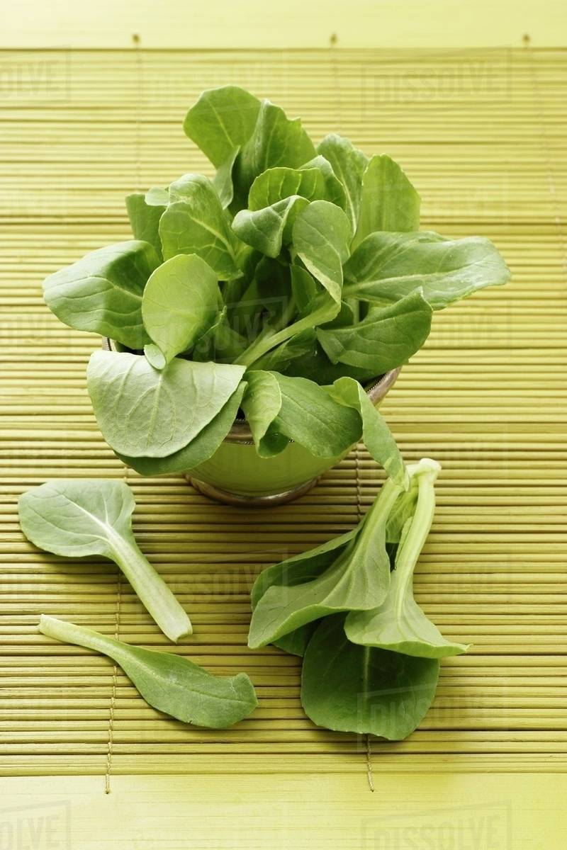 Baby pak choi in a bowl on a bamboo mat - Royalty-free Stock Photo ...