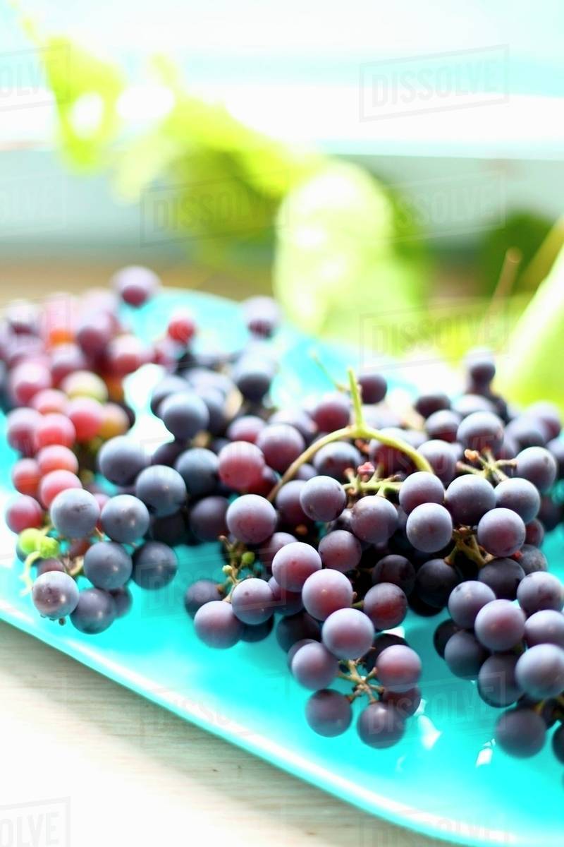 Fresh red grapes on a serving plate - Stock Photo - Dissolve