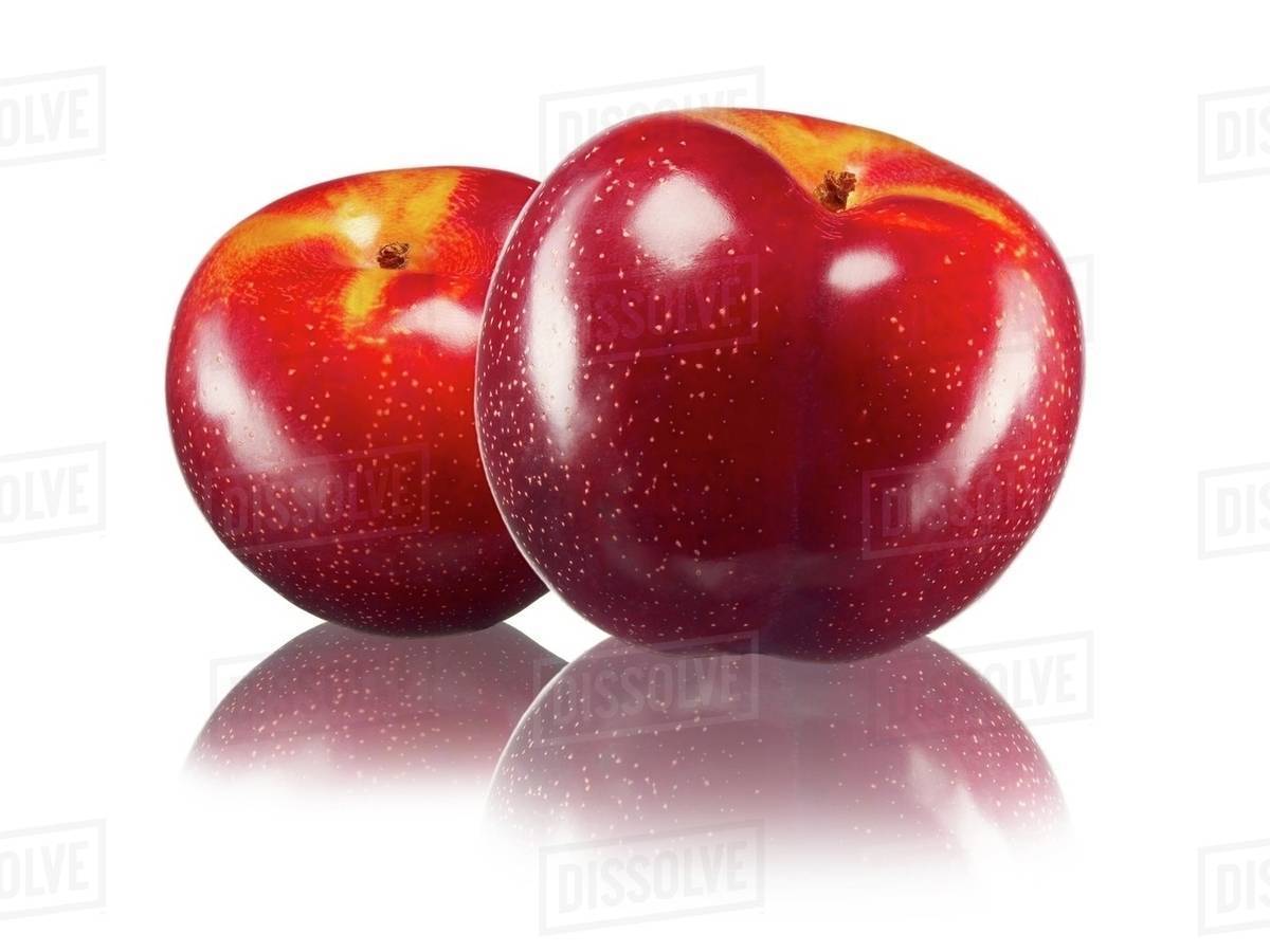 Two red plums - Royalty-free Stock Photo | Dissolve
