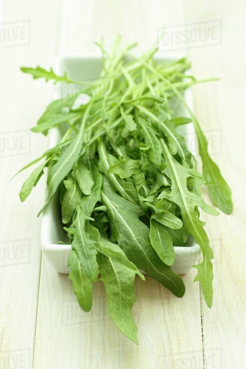 Rocket in a dish - Royalty-free Stock Photo | Dissolve