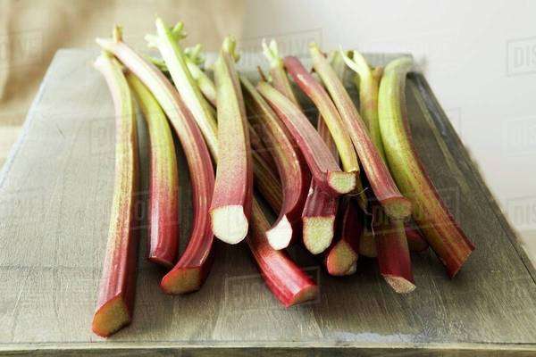 Fresh Rhubarb - Stock Photo - Dissolve