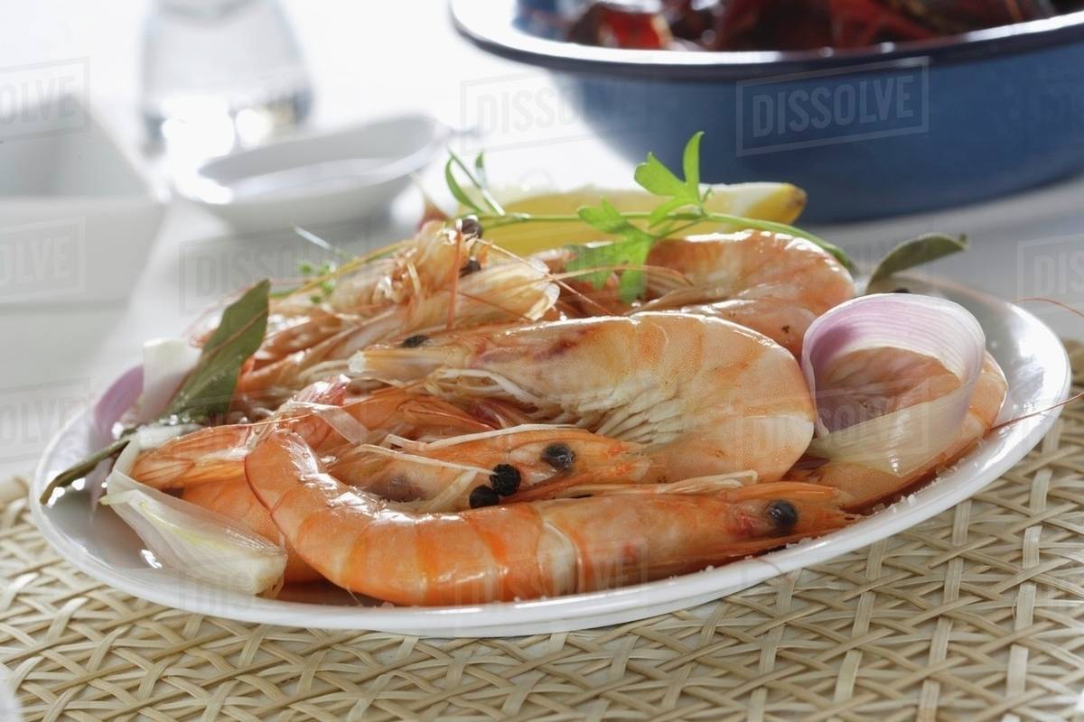 Cooked prawns - Stock Photo - Dissolve