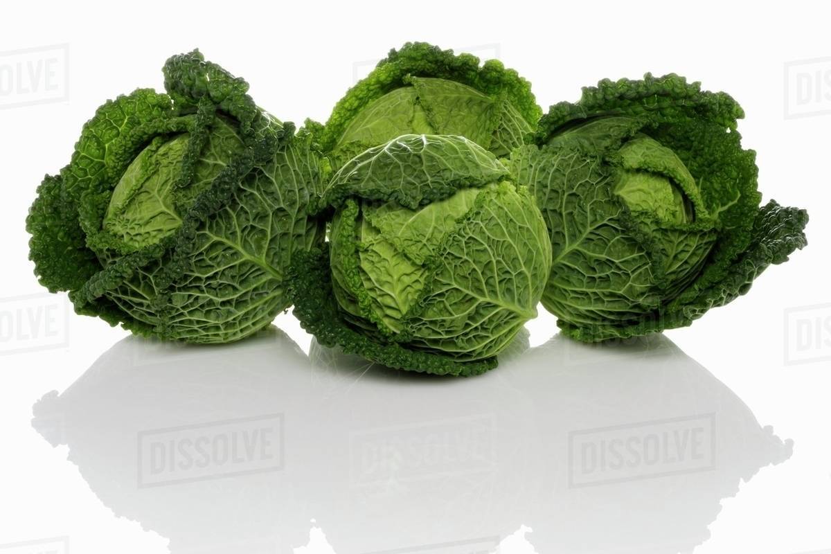 Four savoy cabbages - Royalty-free Stock Photo | Dissolve