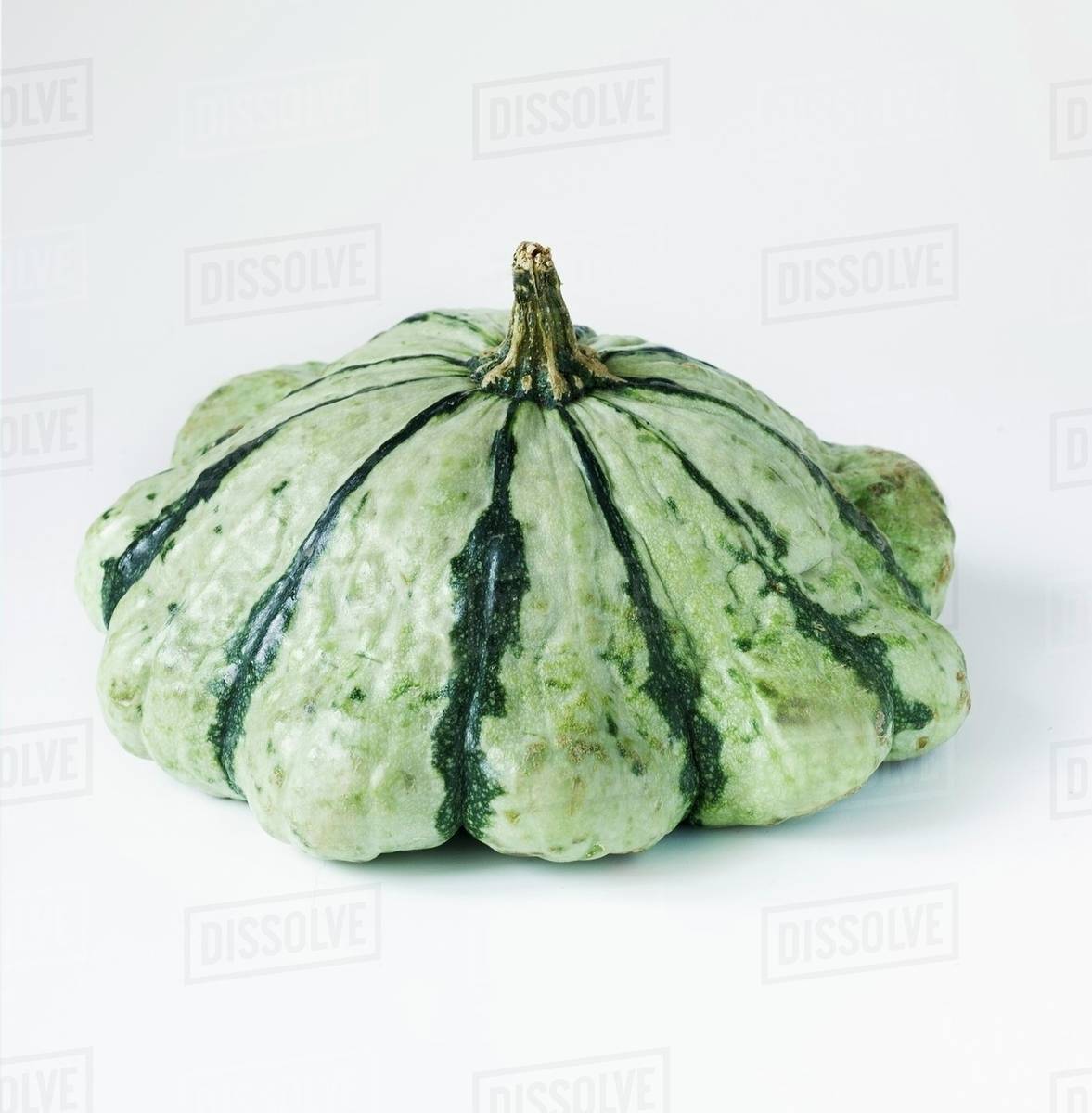 A green striped squash - Stock Photo - Dissolve