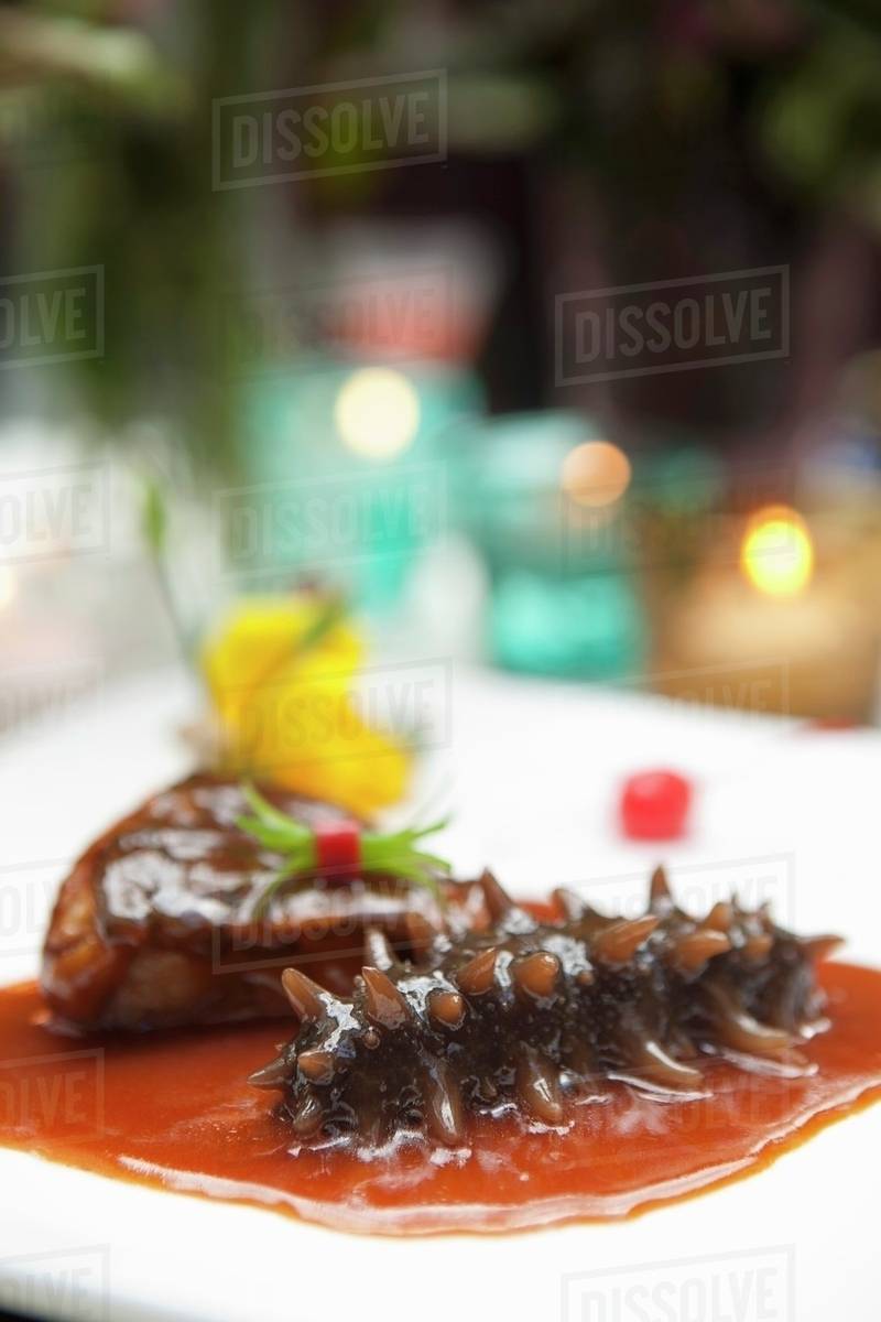 Burning sea cucumber - Royalty-free Stock Photo | Dissolve