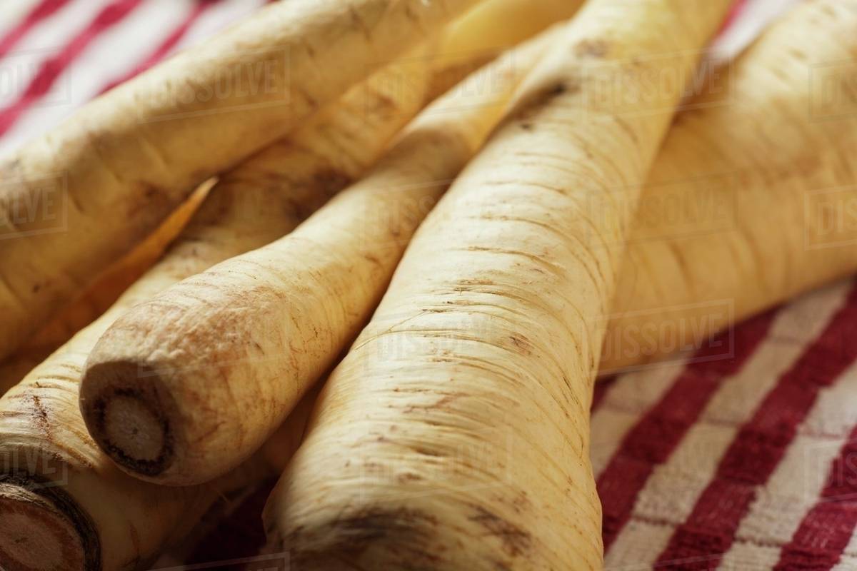 Parsnips; Close Up - Royalty-free Stock Photo | Dissolve