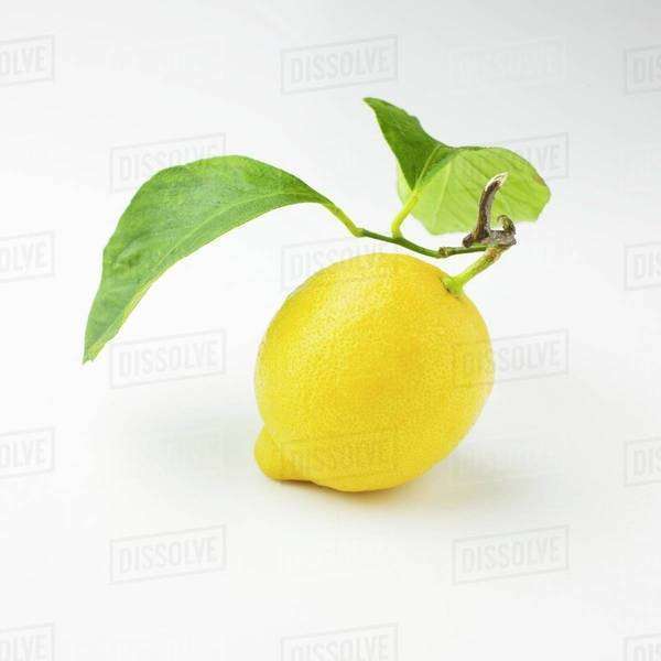 A lemon with a stem and leaves - Royalty-free Stock Photo | Dissolve