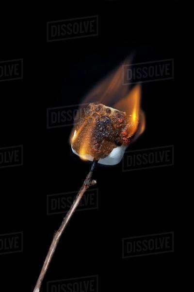Burning Marshmallow on a Stick - Royalty-free Stock Photo | Dissolve