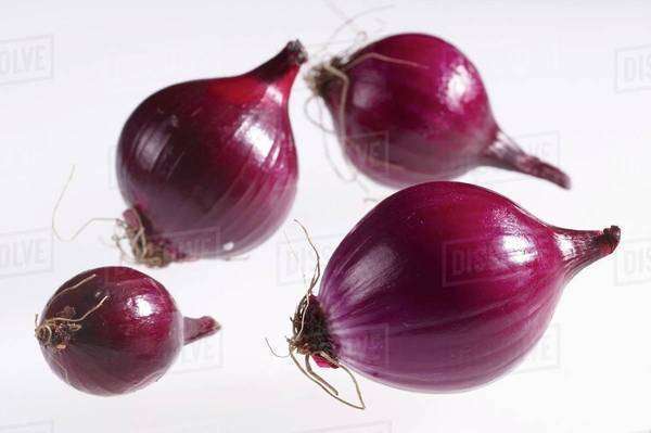 Four red onions - Stock Photo - Dissolve