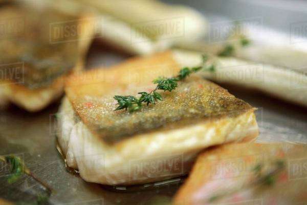 Fried char fillet - Royalty-free Stock Photo | Dissolve