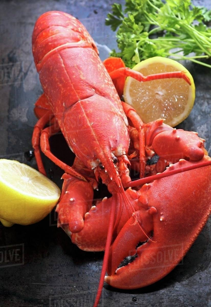 Cooked lobster with lemon - Royalty-free Stock Photo | Dissolve