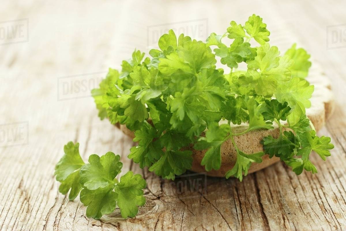 Parsley in a stone bowl - Royalty-free Stock Photo | Dissolve