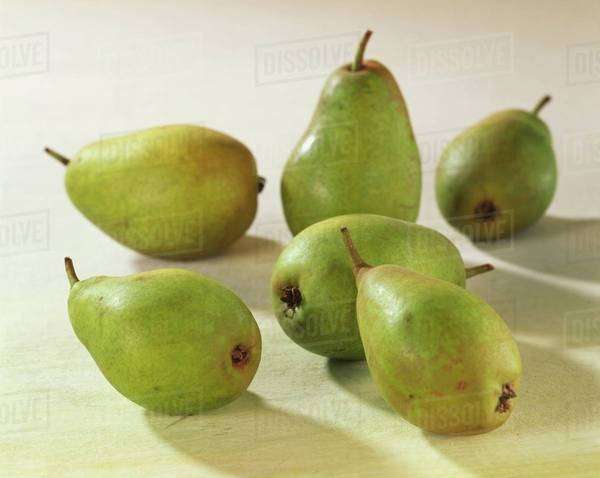 Six green pears (variety: Gute Luise) - Royalty-free Stock Photo | Dissolve