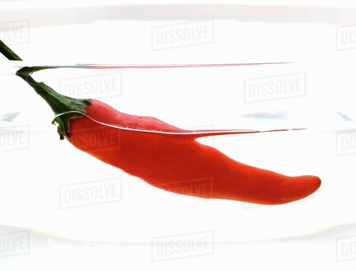 Thai Red chilli floating in water - Royalty-free Stock Photo | Dissolve