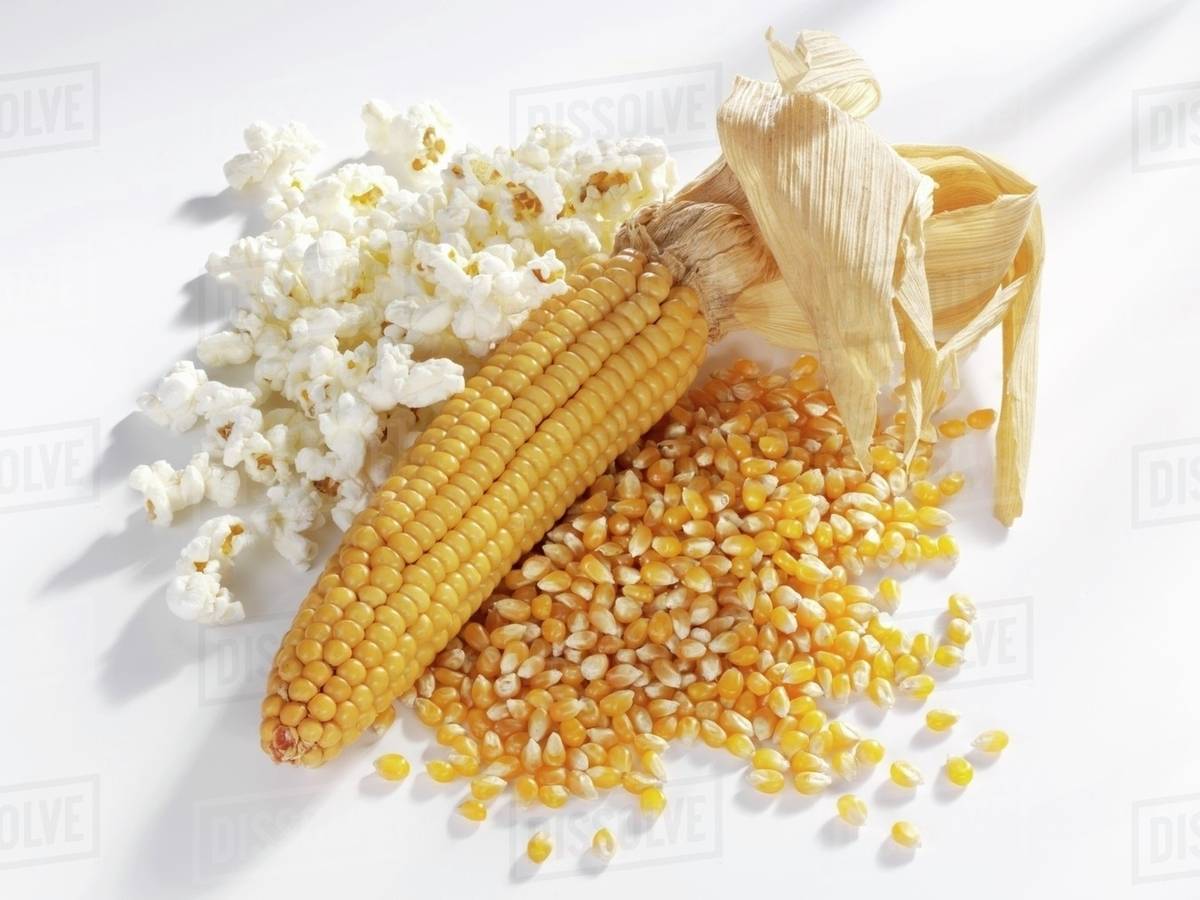 Popcorn and corn on the cob - Stock Photo - Dissolve