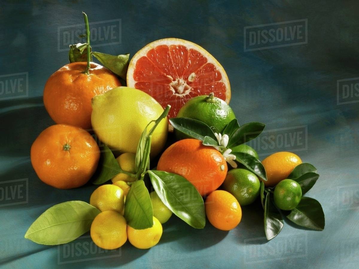 Assorted citrus fruits - Royalty-free Stock Photo | Dissolve
