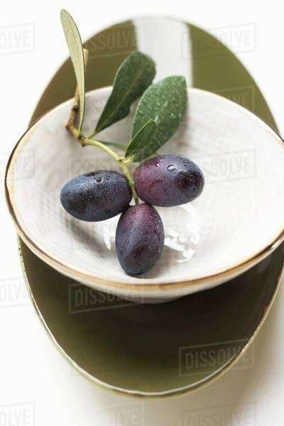 Olive sprig with black olives in white bowl - Stock Photo - Dissolve