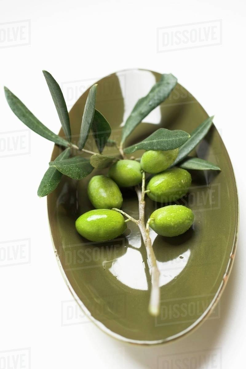 Olive sprig with green olives in bowl - Stock Photo - Dissolve