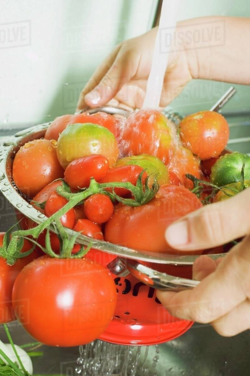 Washing tomatoes - Stock Photo - Dissolve