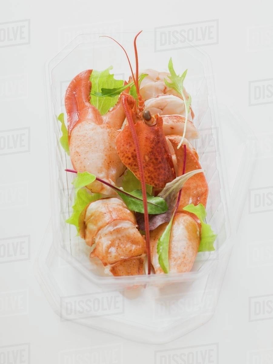 Cooked lobster in plastic container to take away - Stock Photo - Dissolve
