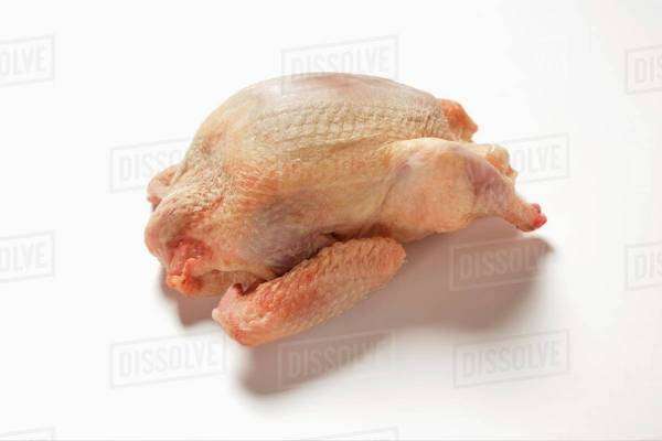 Fresh pigeon - Royalty-free Stock Photo | Dissolve