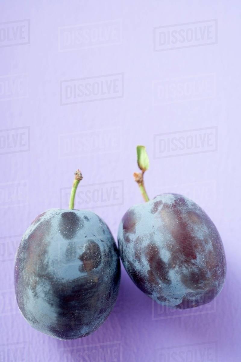 Two plums - Royalty-free Stock Photo | Dissolve