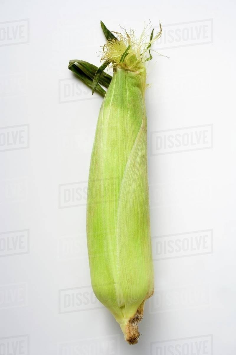 An unhusked corn cob - Royalty-free Stock Photo | Dissolve