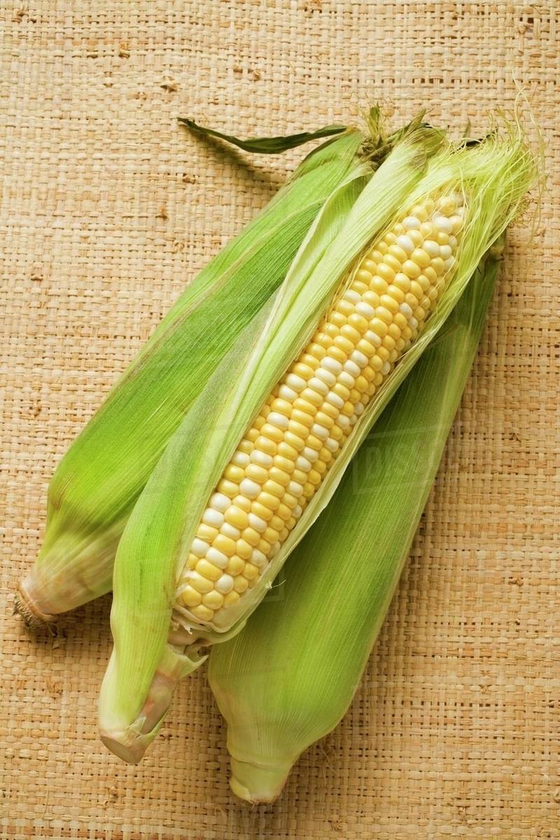 Three corn cobs with husks - Royalty-free Stock Photo | Dissolve