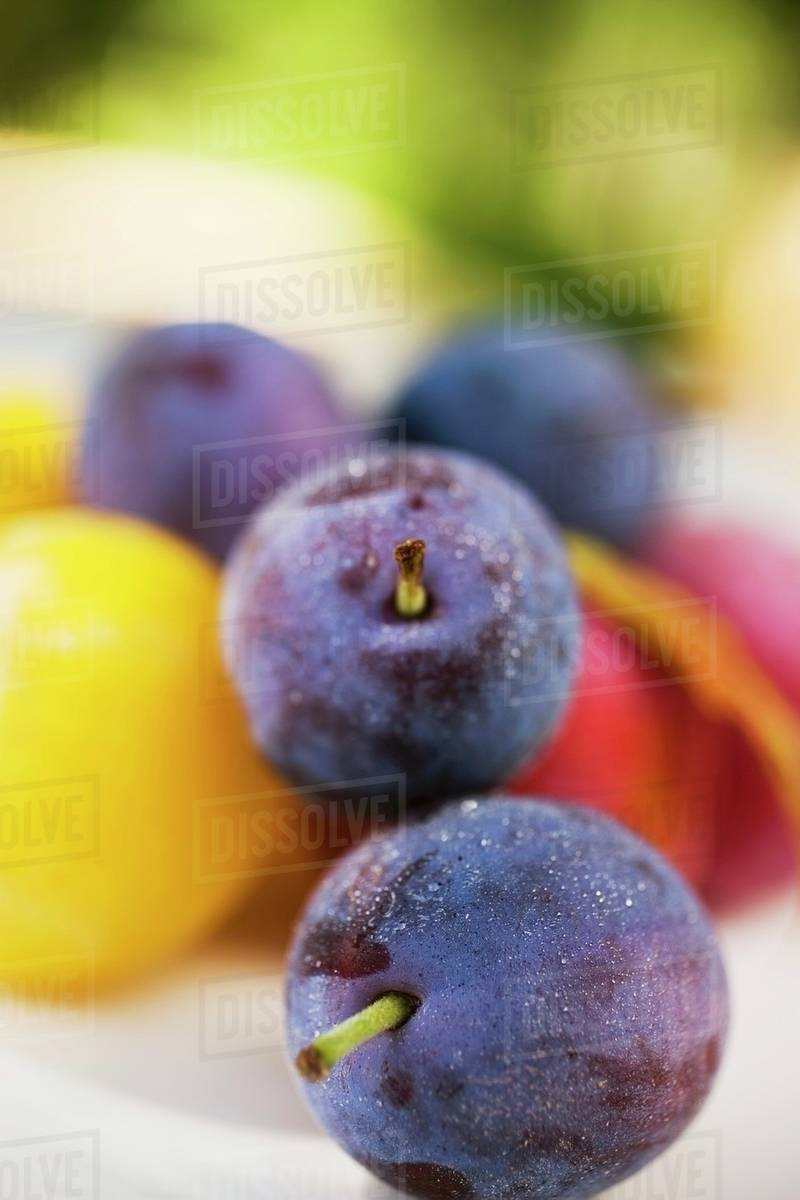 Different types of plums - Royalty-free Stock Photo | Dissolve