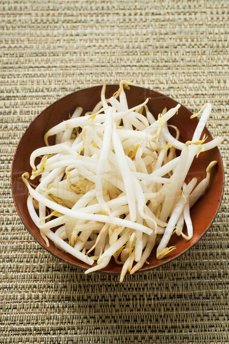 Fresh soya sprouts in bowl - Royalty-free Stock Photo | Dissolve