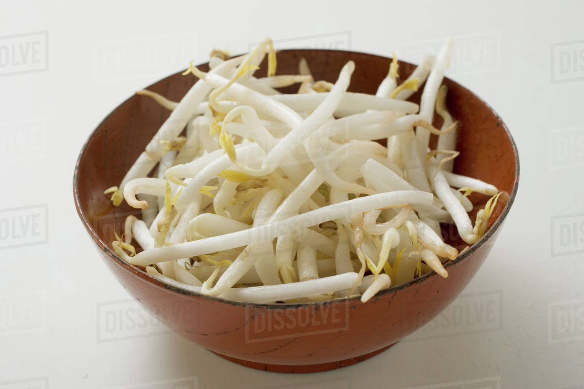 Fresh soya sprouts in bowl - Royalty-free Stock Photo | Dissolve