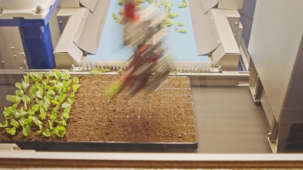 Automated planting process using advanced robot for planting leafs in ...