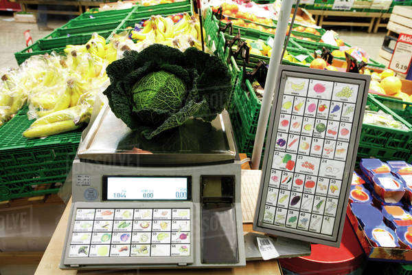 Savoy cabbage on supermarket scale - Stock Photo - Dissolve