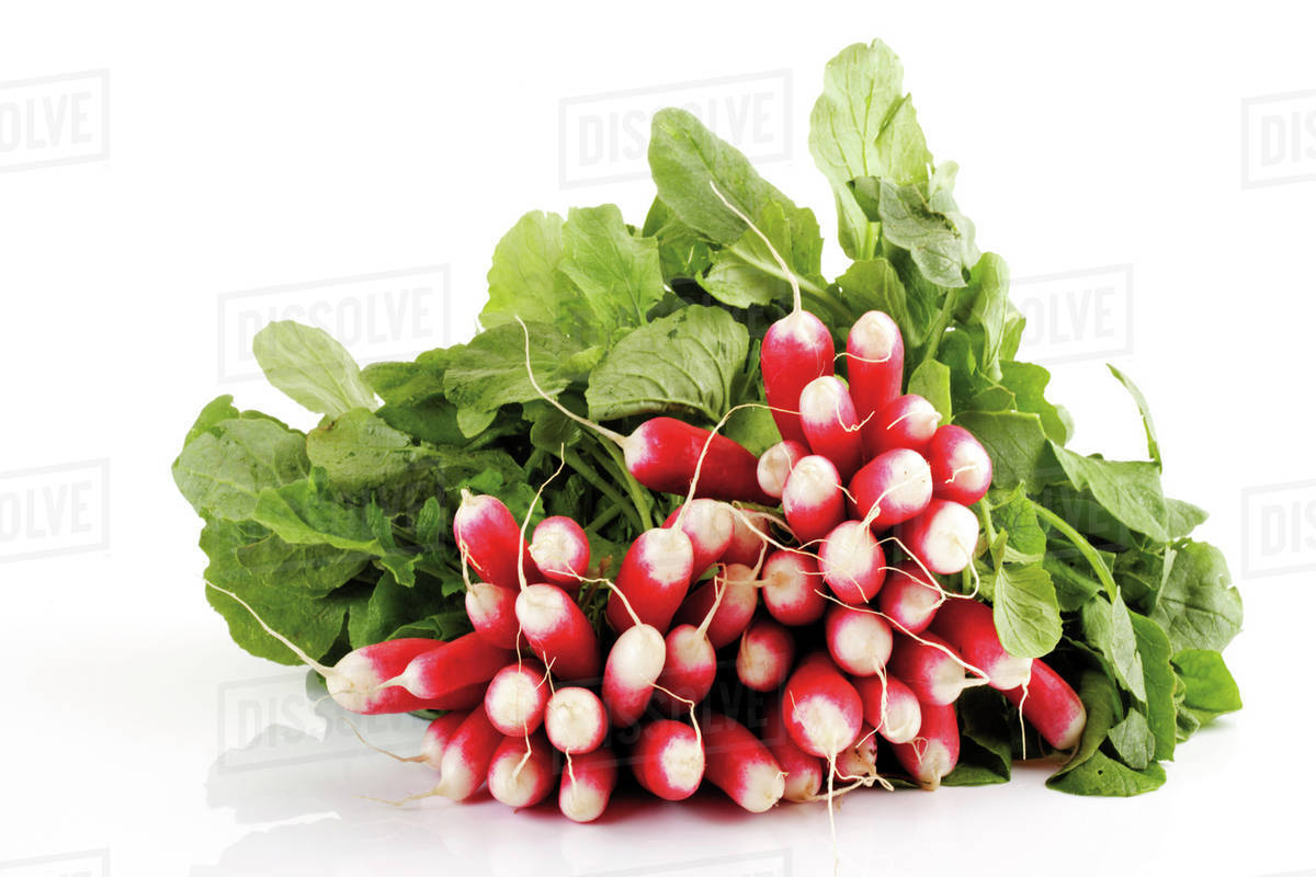 Bunch of red radish (Flamboyant Sabina), close-up - Stock Photo - Dissolve
