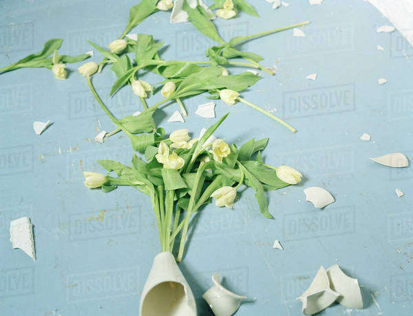 Broken vase and flowers on floor - Stock Photo - Dissolve