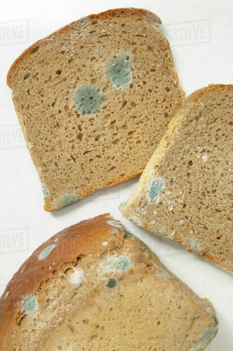 Moulded bread - Stock Photo - Dissolve