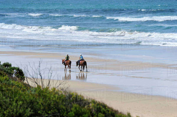 Australia, Victoria, Great Ocean Road, horseback riding on the beach ...