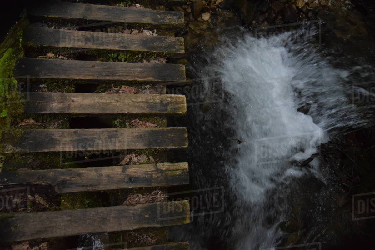 A wooden footbridge over a stream in the forest - Stock Photo - Dissolve
