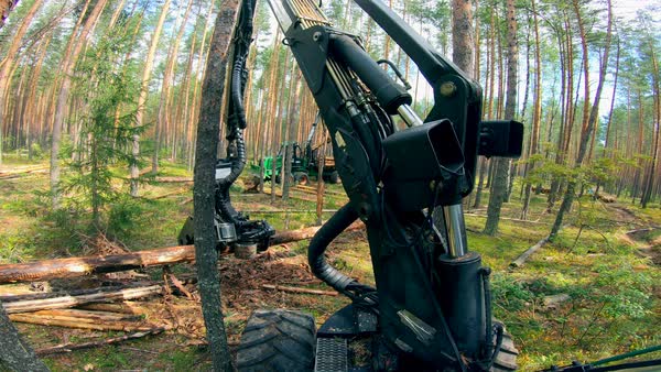 Tractors cutting trees while working in forest. - 4K Royalty-free Stock ...