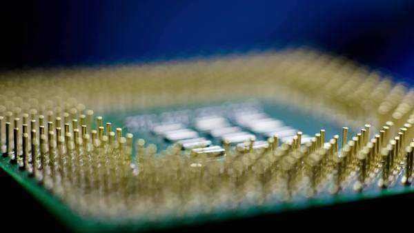 Macro - Stock Videos - Dissolve