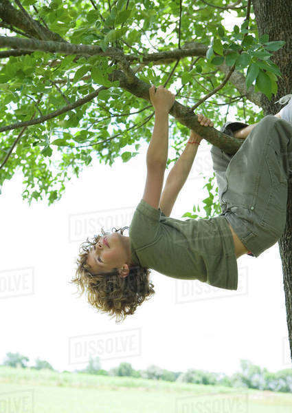 Boy hanging from tree - Royalty-free Stock Photo | Dissolve
