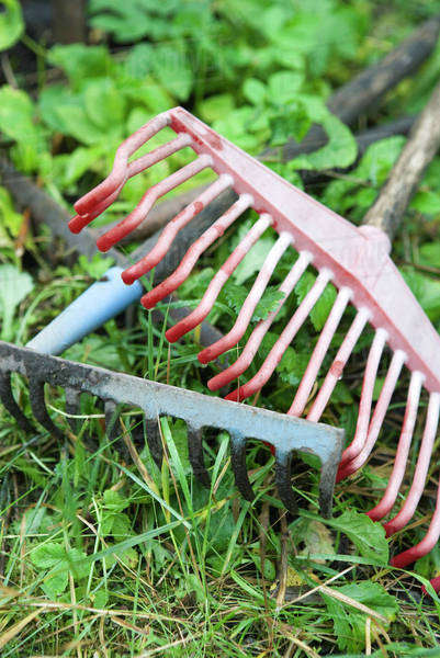 Rakes resting on ground - Royalty-free Stock Photo | Dissolve
