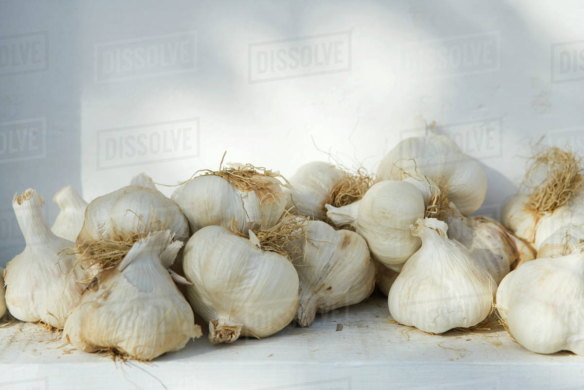 Fresh garlic - Stock Photo - Dissolve