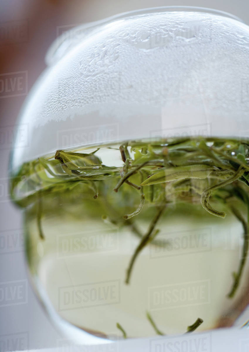 Green tea steeping in tea pot - Royalty-free Stock Photo | Dissolve