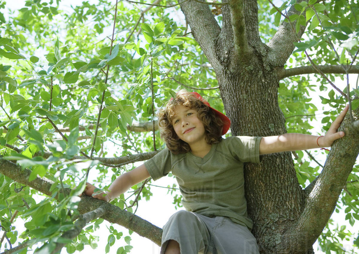 Boy sitting in tree - Stock Photo - Dissolve