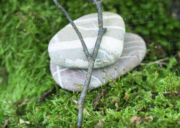 Pebbles stacked on moss - Royalty-free Stock Photo | Dissolve