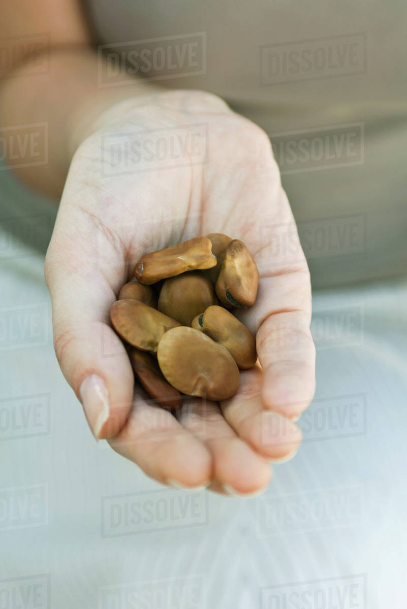 Handful of dry broad beans - Royalty-free Stock Photo | Dissolve